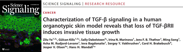 专家点评 Sci Signal︱叶子璐等通过定量磷酸化蛋白质组学揭示TGFβ信号通路的功能选择性 - 知乎