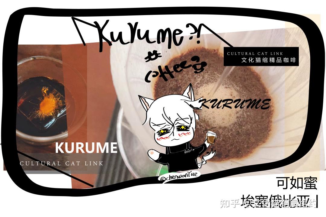CULTURAL CAT LINK丨小众却好喝的罕见原生单一豆种——Kurume，来自埃塞俄比亚与之不同的柔和酸甜的独特之道~ - 知乎