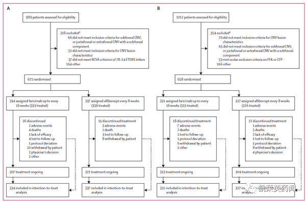 全球首款眼科双抗：EC批准Vabysmo用于治疗新生血管性或湿性老年性黄斑变性(AMD)和糖尿病性黄斑水肿(DME) - 知乎