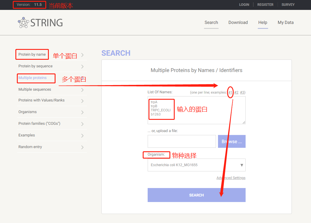 干货分享 | 利用STRING联合Cytoscape绘制PPI网络图 - 知乎