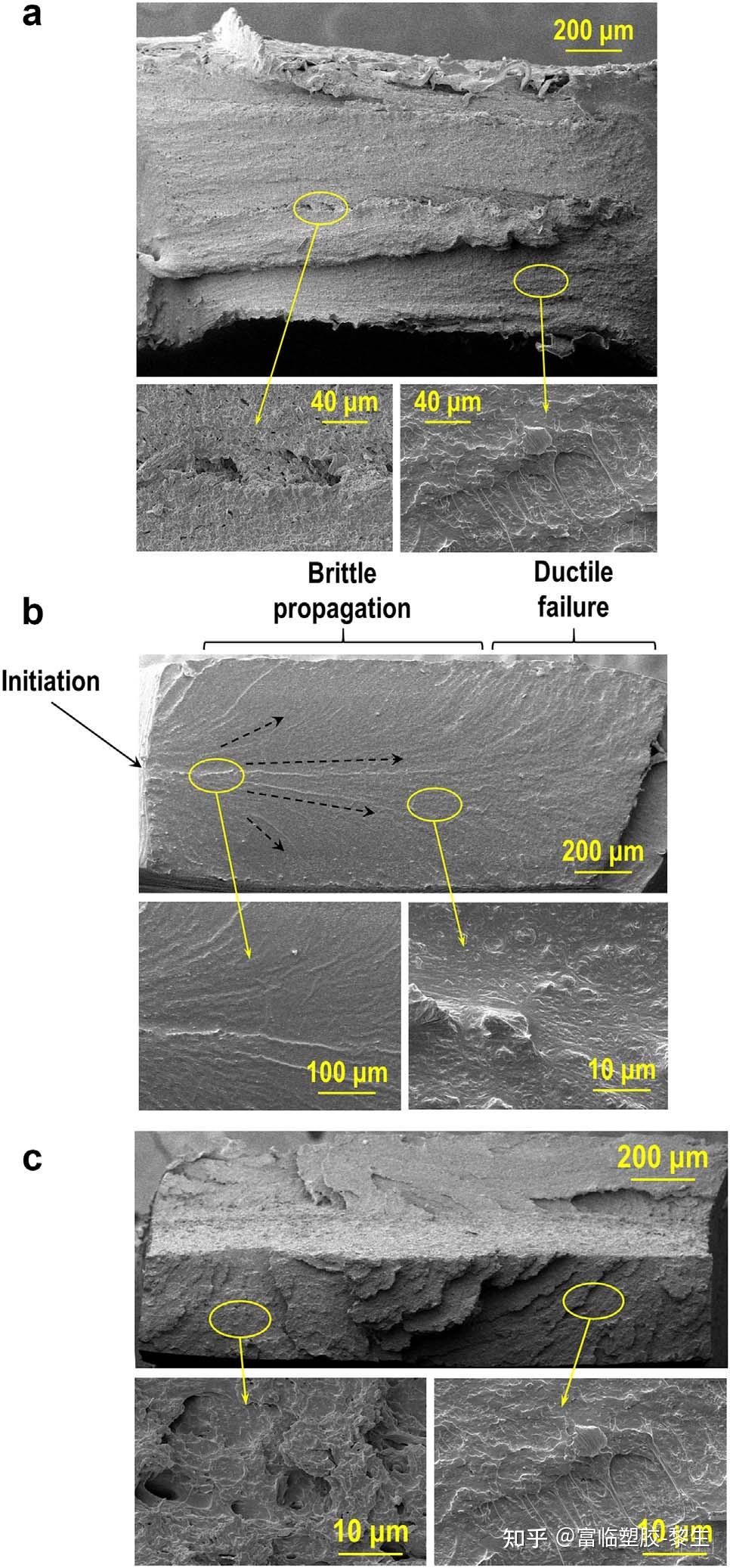 暴露于高剂量 X 射线、伽马射线或中子辐照下的聚氨酯的机械行为和微观结构变化 - 知乎