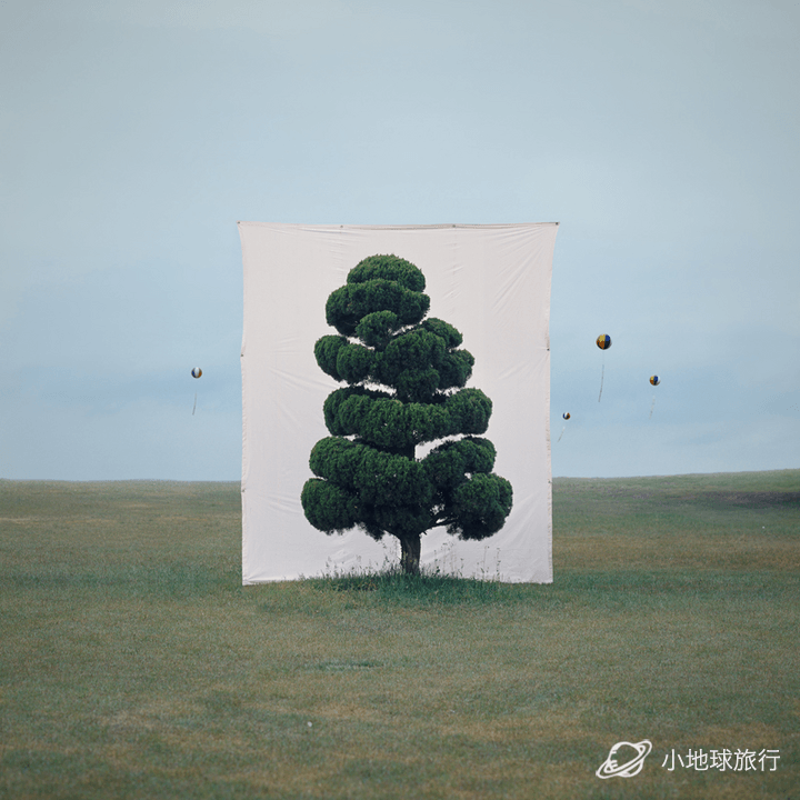 韩国大地艺术家Myoung Ho Lee，“树木”肖像摄影 - 知乎