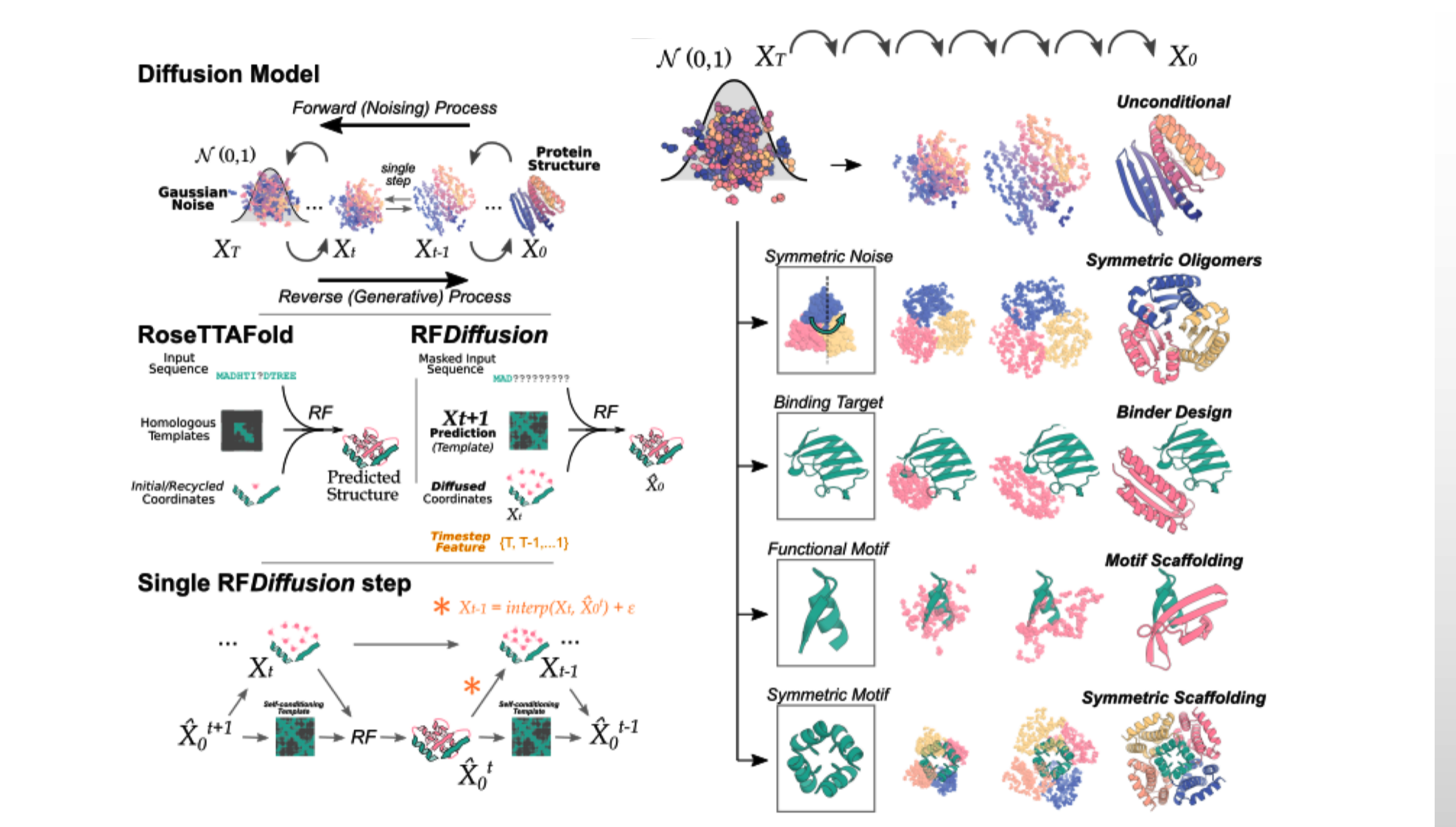 范式再颠覆 | RF Diffusion最强扩散式蛋白设计模型 - 知乎