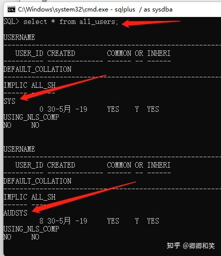 Oracle 19c Windows11 安装流程纪实 - 知乎