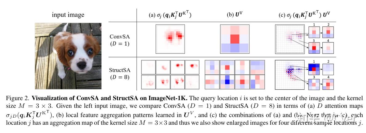 CVPR 2024 新注意力！StructViT：结构视觉Transformer - 知乎