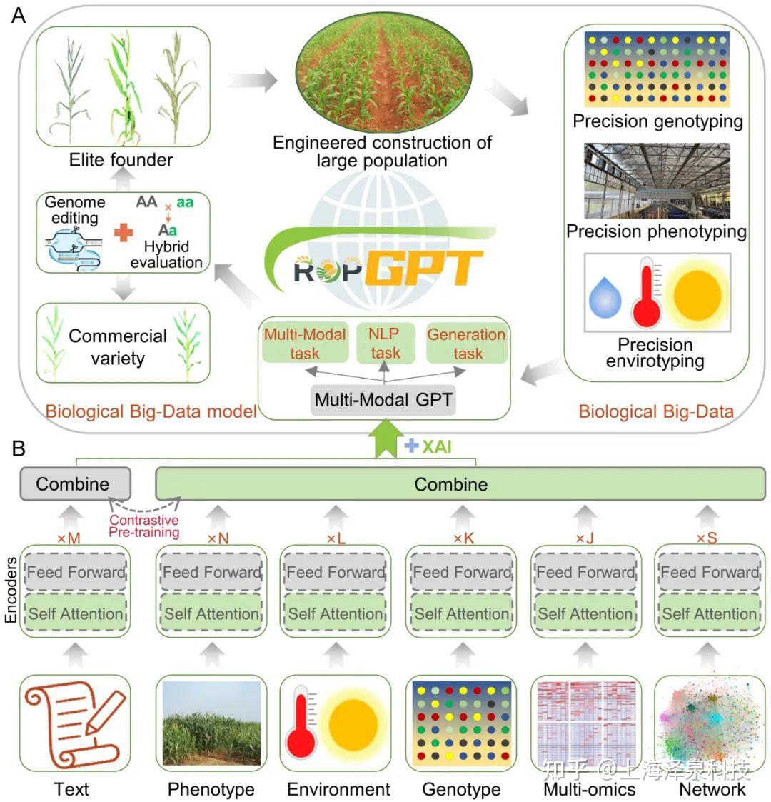 Mol Plant | 华中农业大学领衔倡导CropGPT作物智能育种新模式 - 知乎