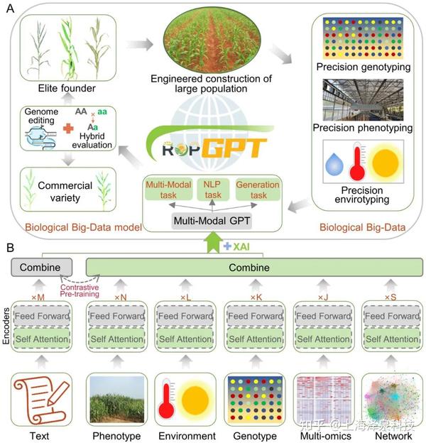 Mol Plant | 华中农业大学领衔倡导CropGPT作物智能育种新模式 - 知乎
