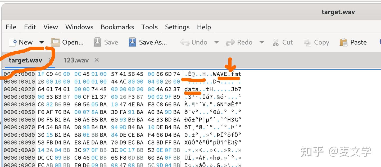 波形 WAV 文件头结构（结构体）: 音频采集后续小实验后续小实验 - 知乎