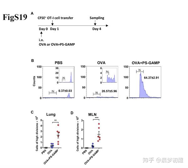 仿生肺泡表面活性物质的纳米粒子增强异型流感病毒免疫 - 知乎