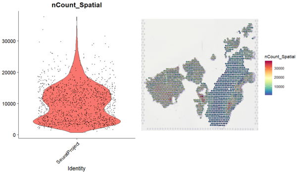 空间转录组|Load10X_Spatial函数修改适配多形式数据 + 空转标准流程 - 知乎
