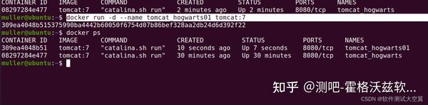软件测试|深入解析Docker Run命令：创建和启动容器的完全指南 - 知乎