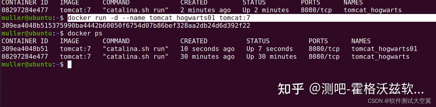 软件测试|深入解析Docker Run命令：创建和启动容器的完全指南 - 知乎