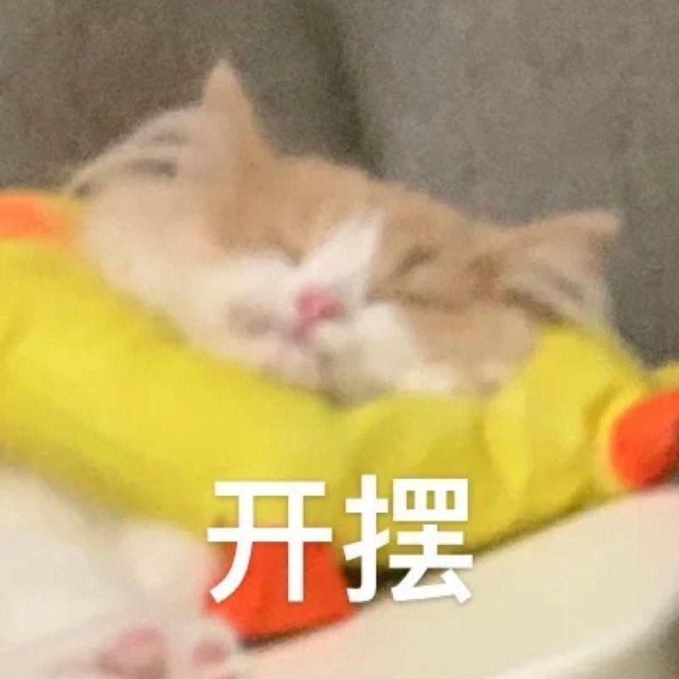 一些精选收藏的表情包 ૮ ´͈ ᗜ `͈ ა♡ 知乎
