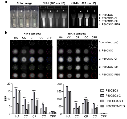 NIR-II荧光团丨P800SO3-PEG：可肾清除的荧光团实现骨靶向成像治疗 - 知乎