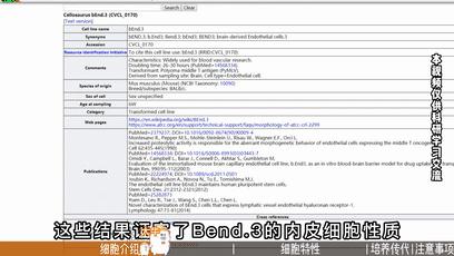Bend.3细胞培养，小鼠脑微血管内皮细胞培养攻略-丰晖生物 - 知乎