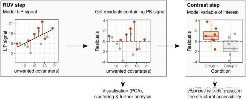 LiP-MS质谱数据分析策略—LiPAnalyzeR - 知乎