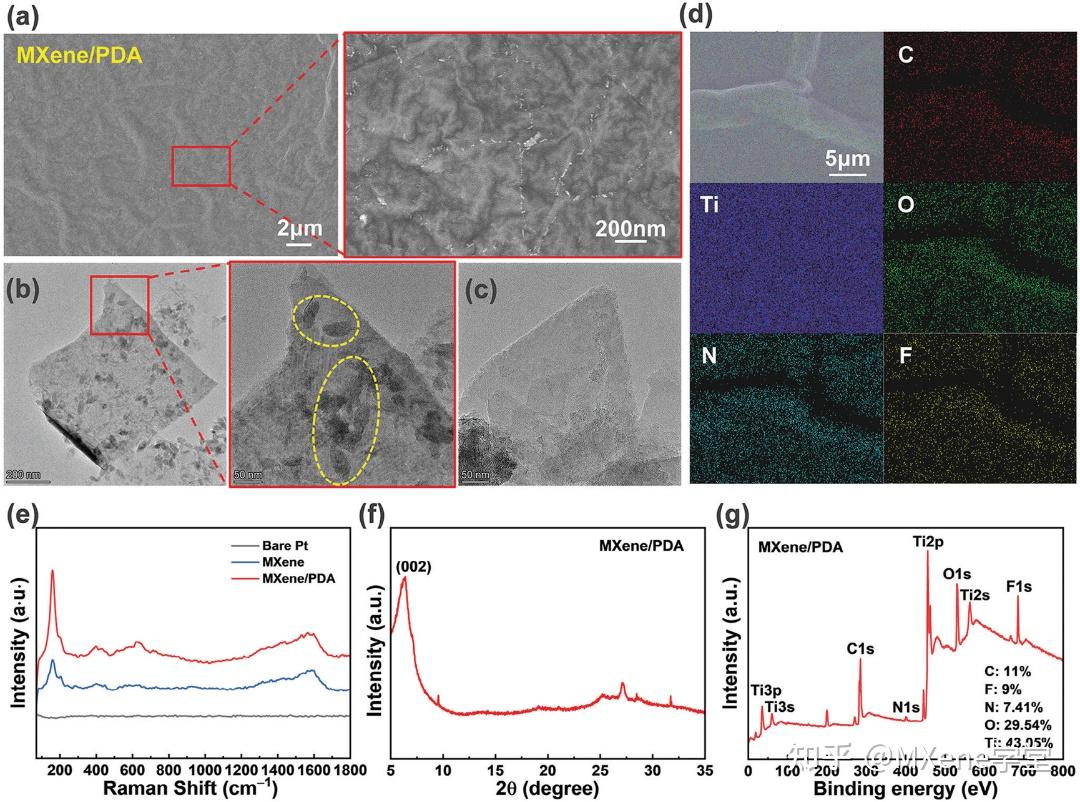 AFM-深圳先进技术研究院 |快速电沉积MXene/PDA复合材料制备高性能生物电子界面用于体外实验评价 - 知乎