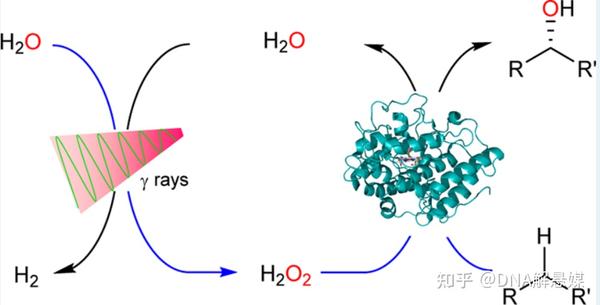 ACS Catalysis封面—核废料和生物催化：可持续的联系？ - 知乎