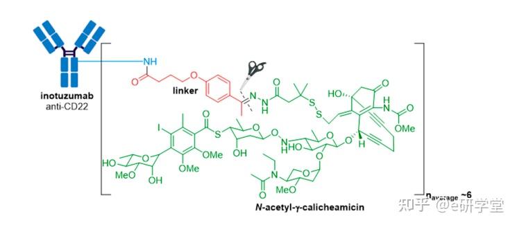 深度盘点FDA批准用于癌症治疗的抗体偶联药物（ADC） - 知乎