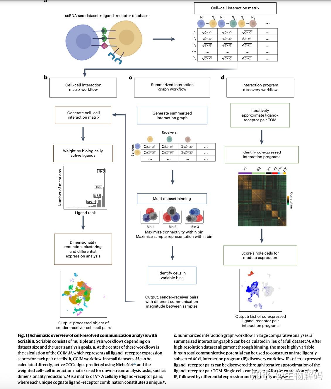每日文摘 | 2023年05月15日 - 知乎