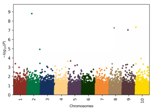 GWAS分析中QQ图和曼哈顿图如何看？ - 知乎