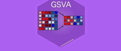 【实战】GSVA基因集差异表达分析 - 知乎