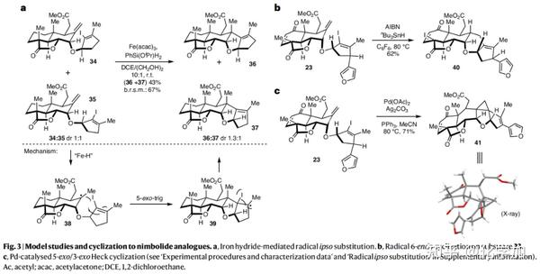 Nat. Synth.：Nimbolide及其类似物的合成和活性研究 - 知乎