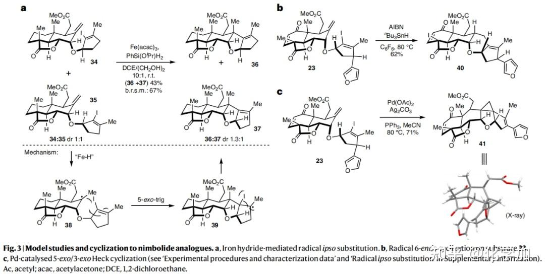 Nat. Synth.：Nimbolide及其类似物的合成和活性研究 - 知乎