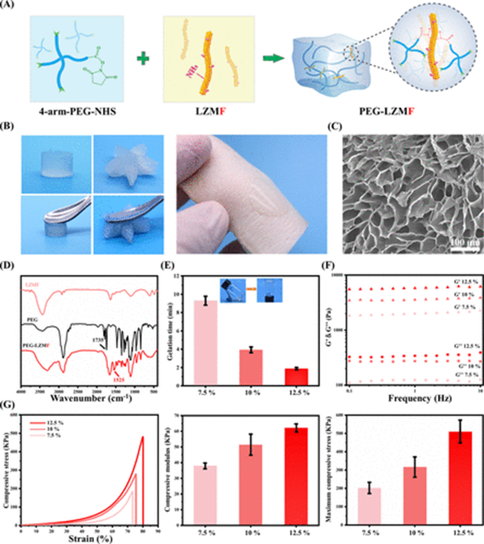 Biomacromolecules|华理屈雪/刘昌胜院士：可注射抗菌抗溶胀的PEG 水凝胶粘合剂！ - 知乎