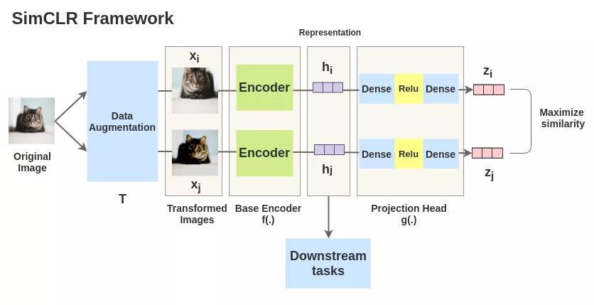 综述：自监督学习与知识蒸馏的碰撞 - 知乎