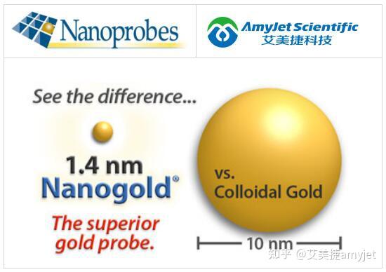 Nanoprobes纳米探针丨Nanogold偶联物的特点和应用 - 知乎