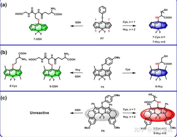 CAS号:2183473-45-0|BDP FL HYDRAZIDE|齐岳生物 - 知乎