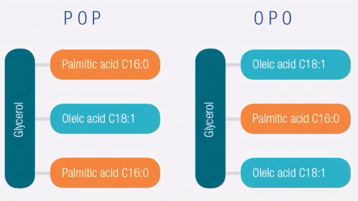 看到奶粉宣传OPO，OPO有什么作用？含有OPO奶粉有哪些？ - 知乎