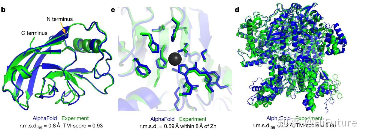 AlphaFold2 讲解（1） - 知乎