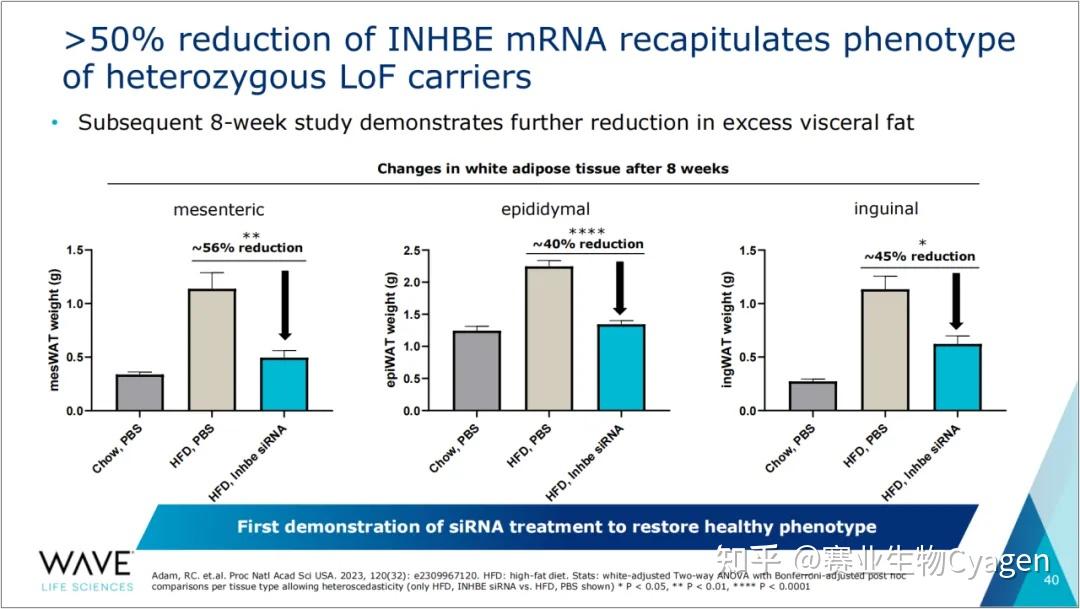 INHBE靶点人源化小鼠模型助力肥胖症siRNA疗法研究 - 知乎
