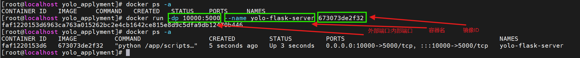 基于虚拟机的Docker使用——YOLO项目部署实操 - 知乎