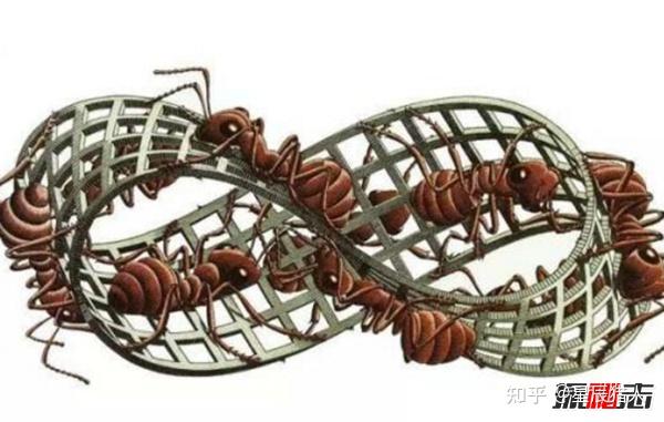 什么是莫比乌斯指环?莫比乌斯环的诅咒(陷入无限死循环) - 知乎