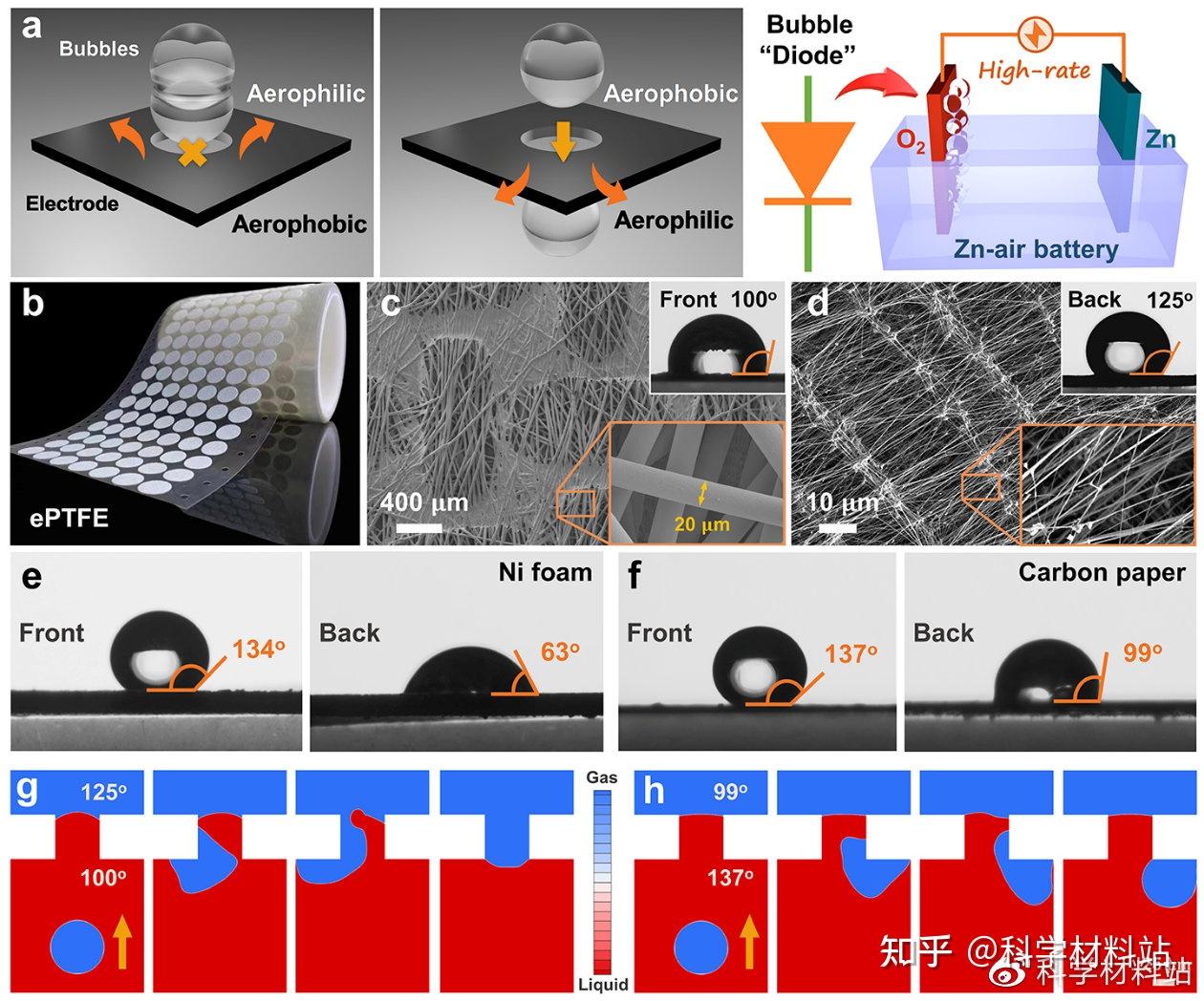 中科大谈鹏团队EnSM: ePTFE膜“气泡二极管”助力高性能锌空气电池快充 - 知乎