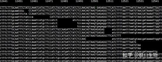 IGV、Tablet、Samtools——比对可视化怎么做？ - 知乎