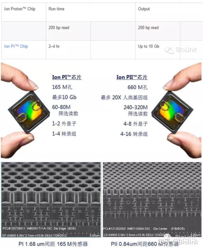 后起之秀——Ion Torrent (半导体测序) - 知乎