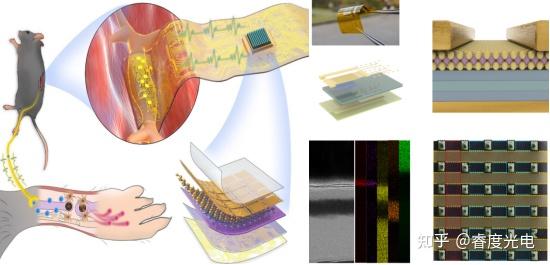 Application | MicroFab Inkjet喷墨打印技术助力无损抗炎新突破 - 知乎