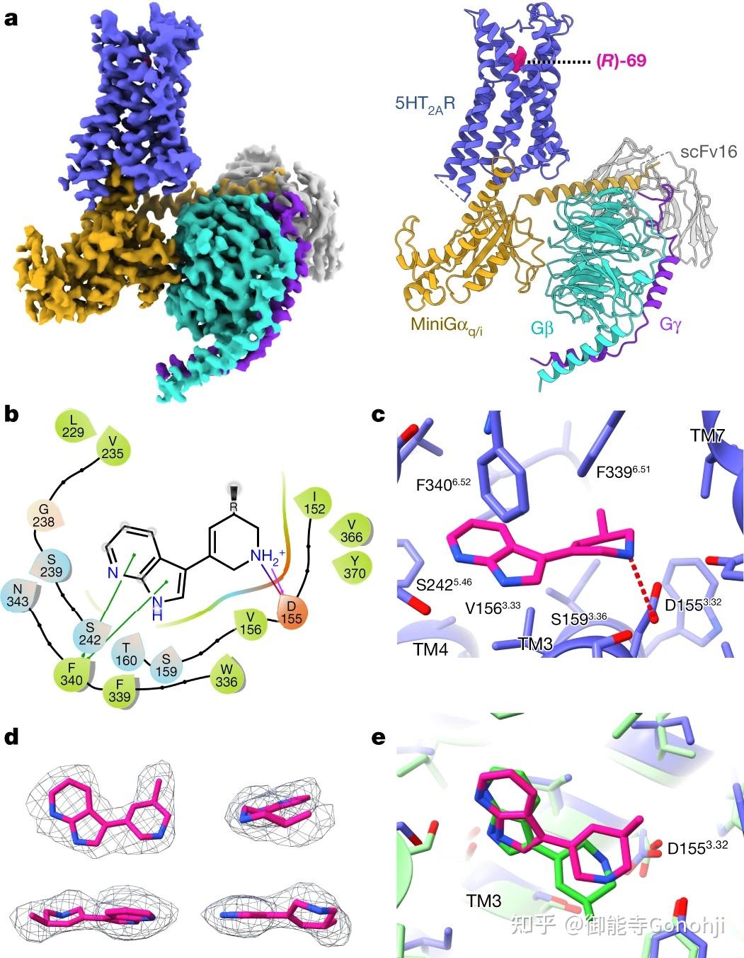 具有抗抑郁活性的5-HT2A受体激动剂的筛选及开发 - 知乎