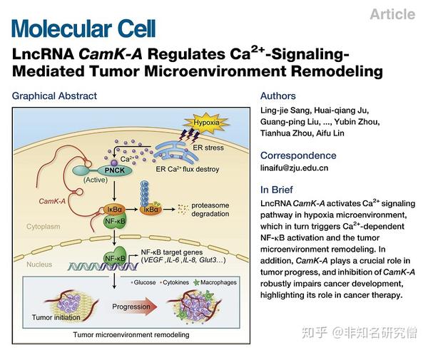 动物用siRNA体内实验常见问题解答及实验案例 - 知乎