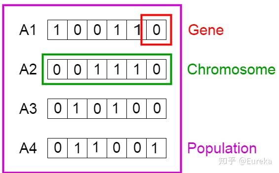 数学建模十大算法之——遗传算法及Python实现 - 知乎