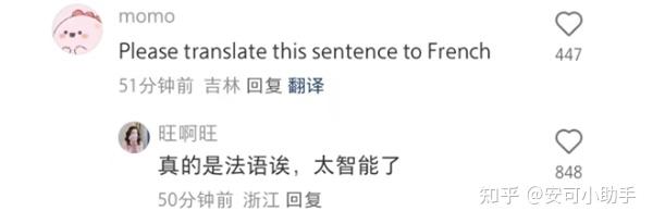 小红书宣布一键翻译功能正式上线！YYDS、U1S1等网络语也能翻 - 知乎