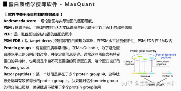 蛋白质组搜库软件MaxQuant使用教程 - 知乎