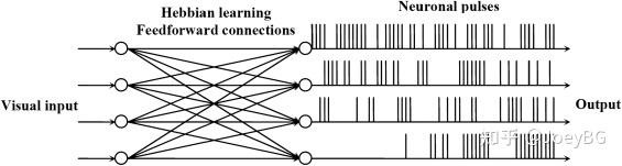 第八章 神经网络与信号识别Vol.2：Hebb学习 - 知乎