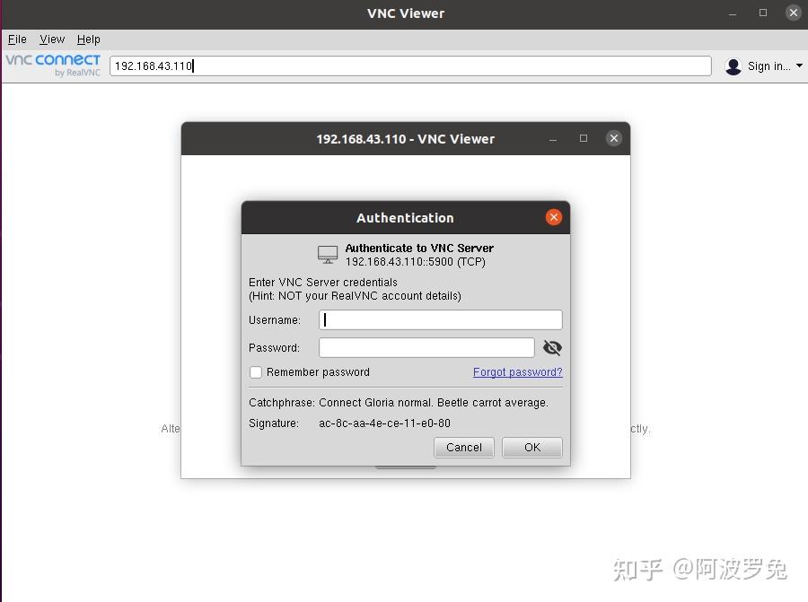 树莓派3B+运行YOLOv5/6.2 - 知乎