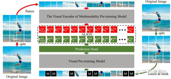 CVPR2023 | EVA升级，智源开源视觉预训练模型EVA-2，ViT-L ImageNet精度达到90+！ - 知乎