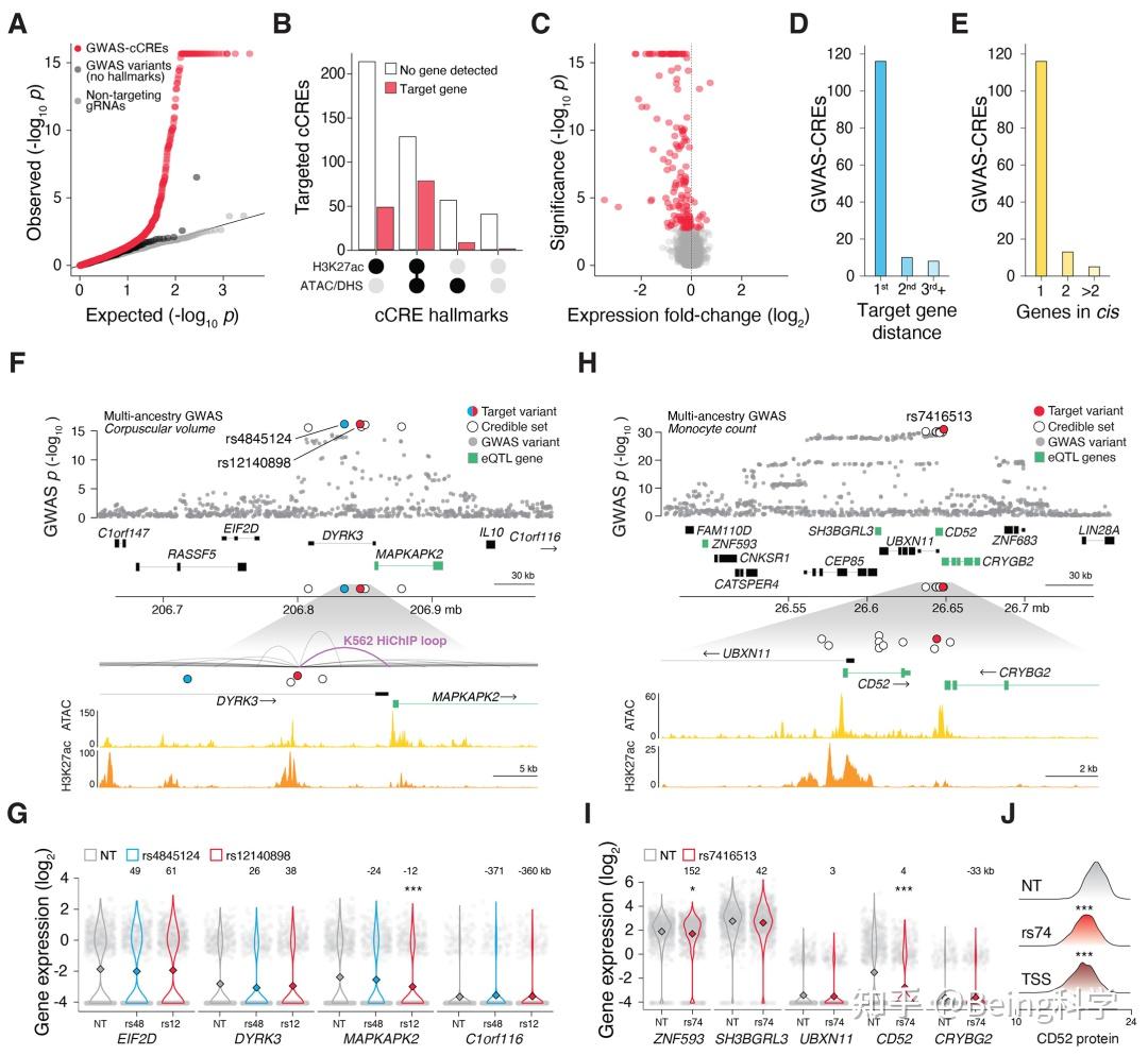 Science | 利用单细胞CRISPR筛选，发现GWAS位点的靶基因和途径！ - 知乎